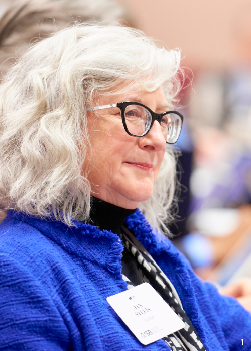 FAF 2015 Annual Report | Serving the Financial Statement User