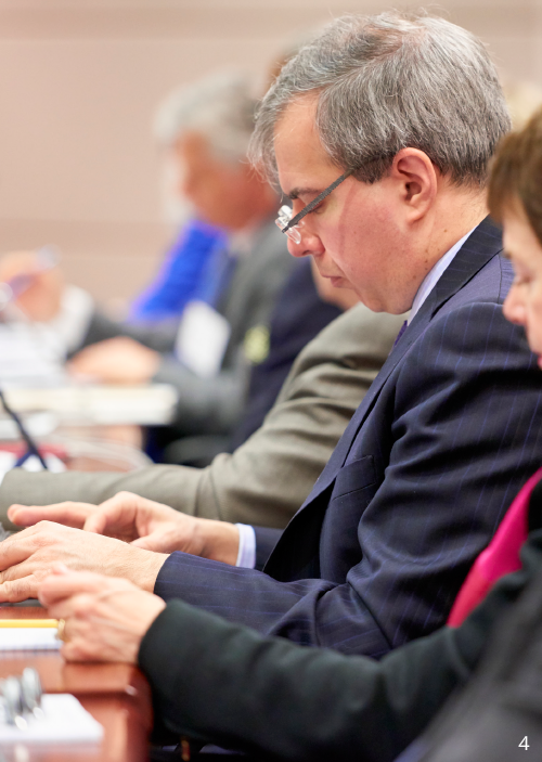 FAF 2015 Annual Report | Serving the Financial Statement User